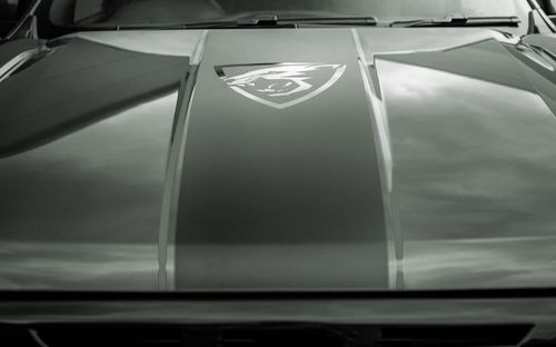 Styling Upgrades | Predator